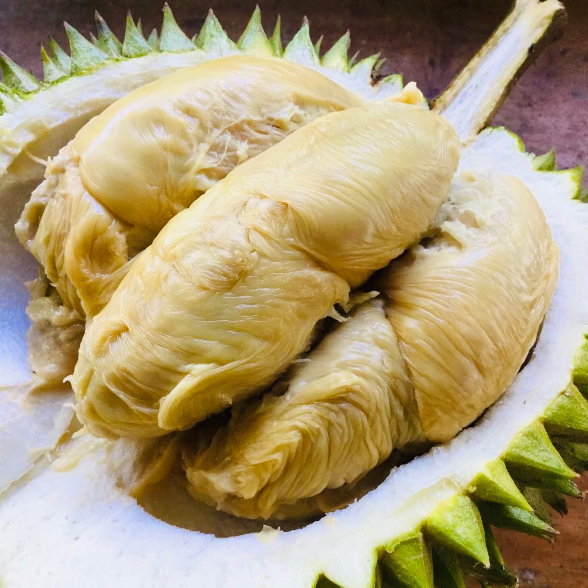 Application form for The Bali Fruit Retreat - fitshortie.com