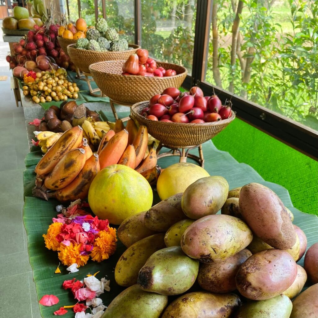 Application form for The Bali Fruit Retreat - fitshortie.com